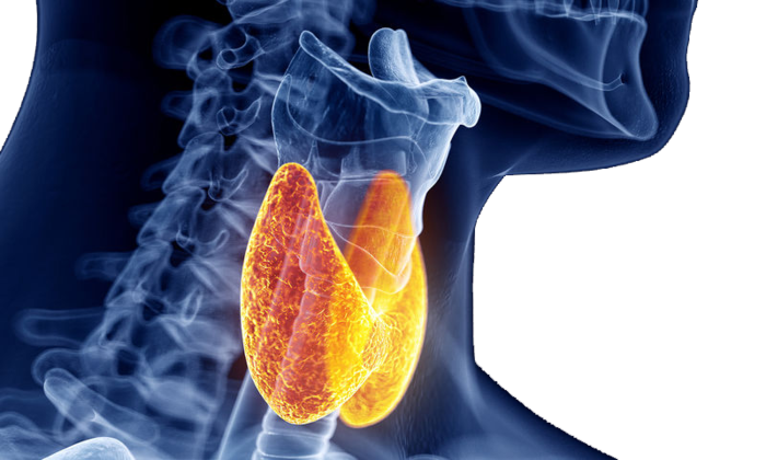 ΕΝΔΟΚΡΙΝΟΛΟΓΙΚΟ ΙΑΤΡΕΙΟ :: medicalclinics-thiva.gr